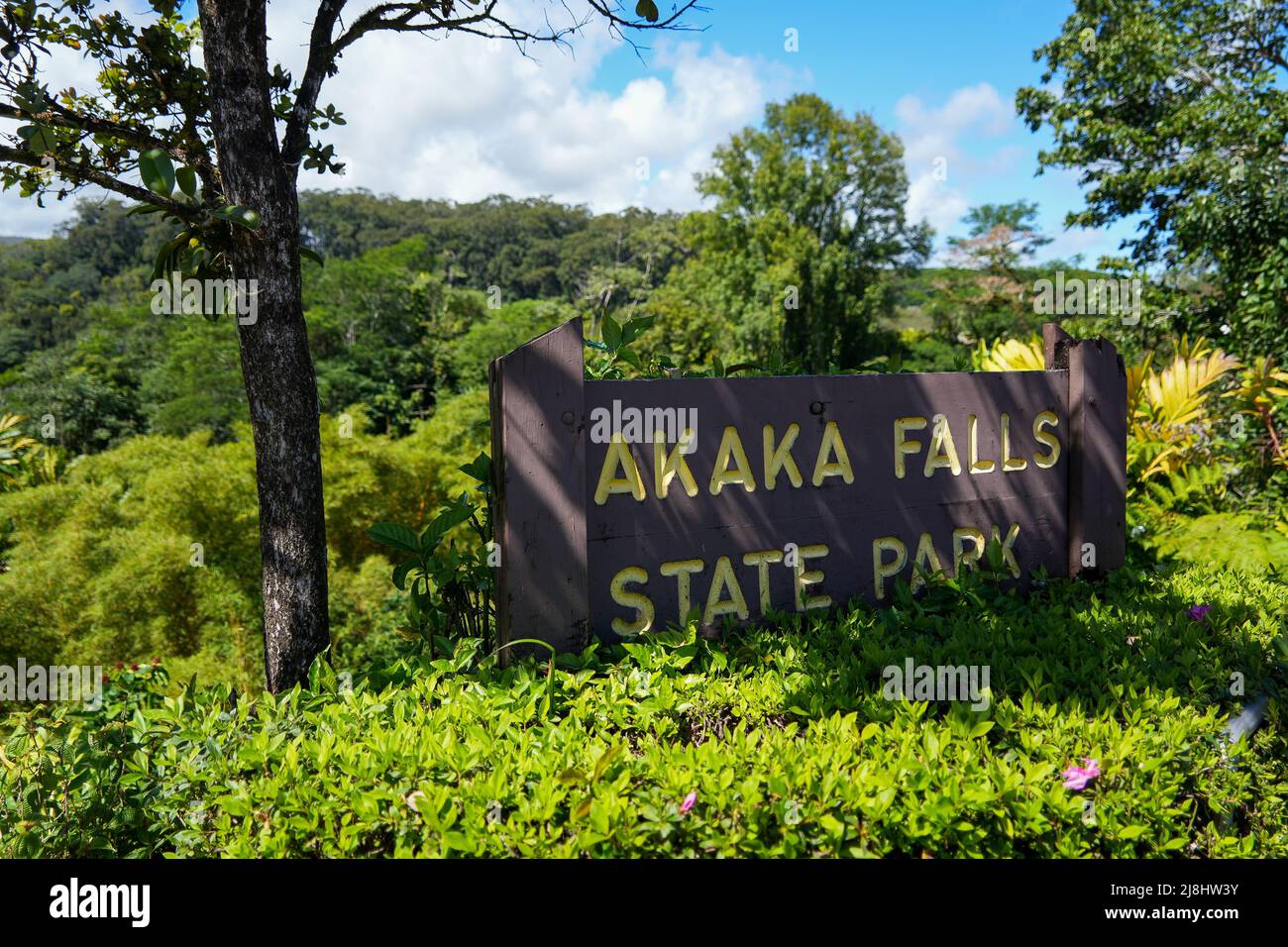 Akaka Falls State Park entrance sign in the rainforest on the Big ...