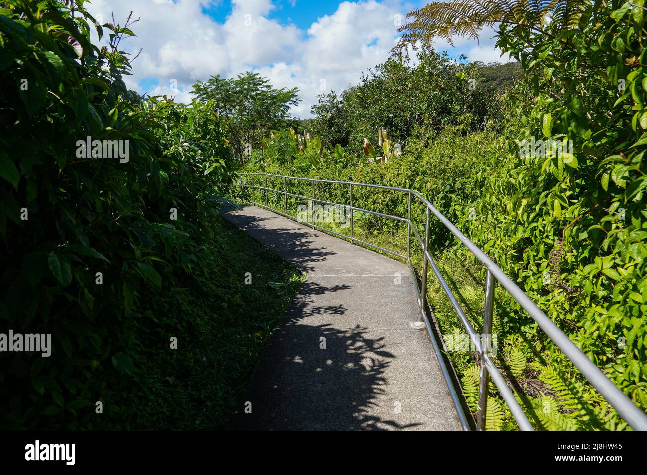 Pathway in the Akaka Falls State Park on the Big Island of Hawaii ...