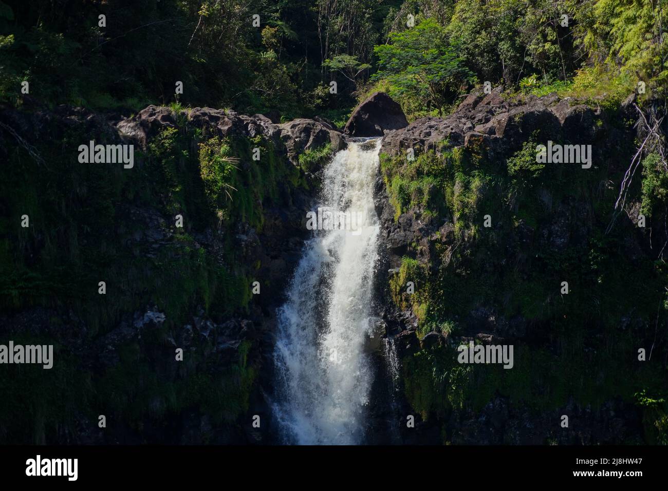 Akaka waterfall in the rainforest jungle of Akaka Falls State Park on ...