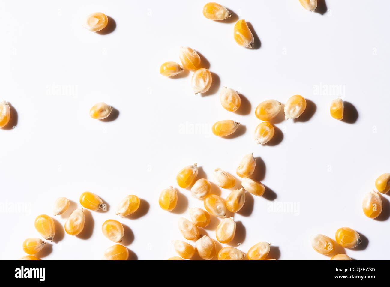 Popcorn Kernels Scattered on white Stock Photo - Alamy