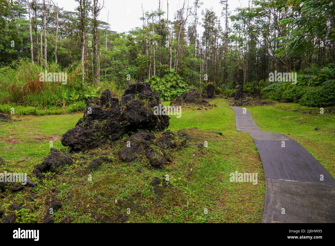Lava Tree State Monument on the slopes of the Kilauea volcano in the ...