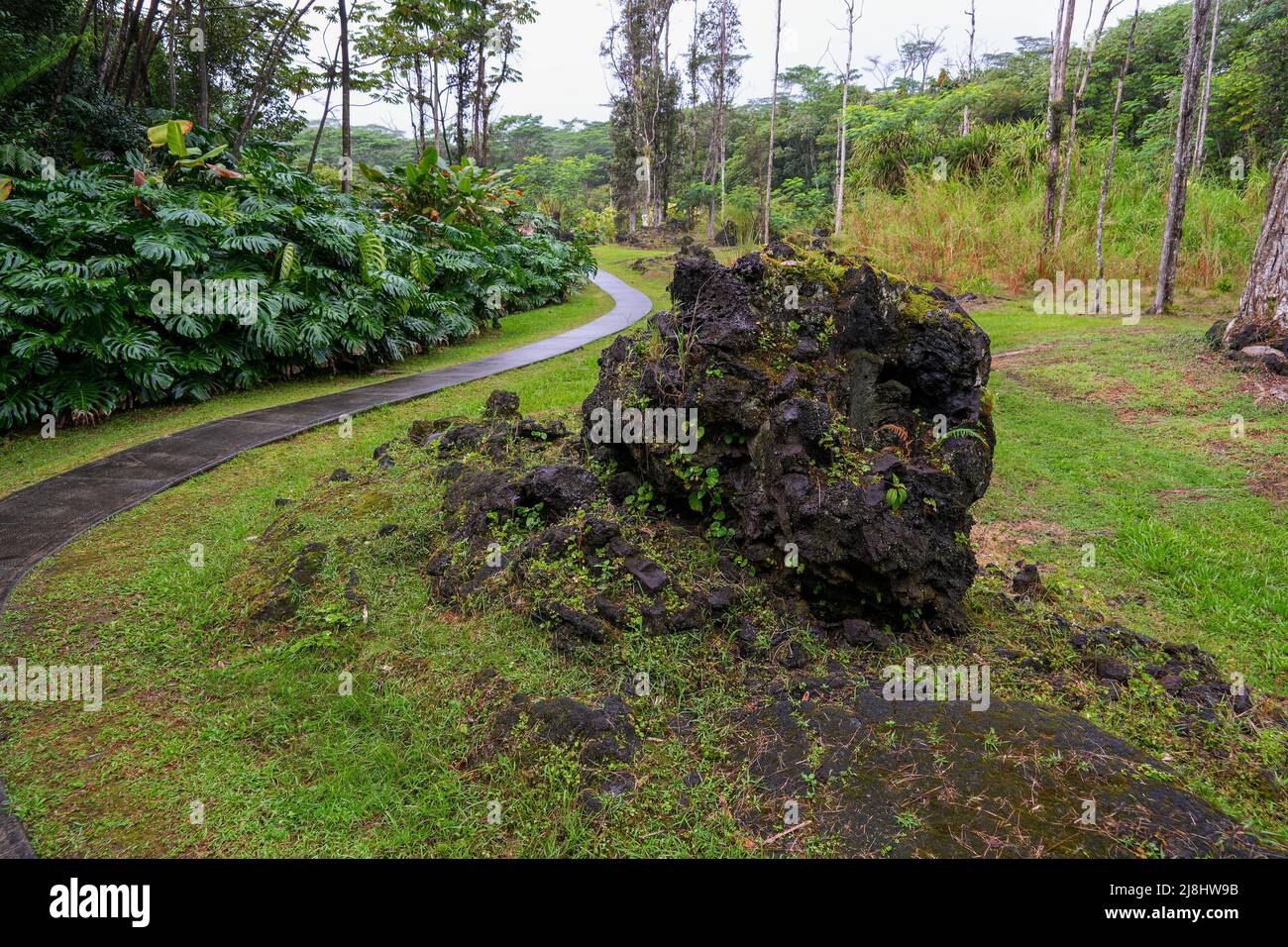 Lava Tree State Monument on the slopes of the Kilauea volcano in the ...