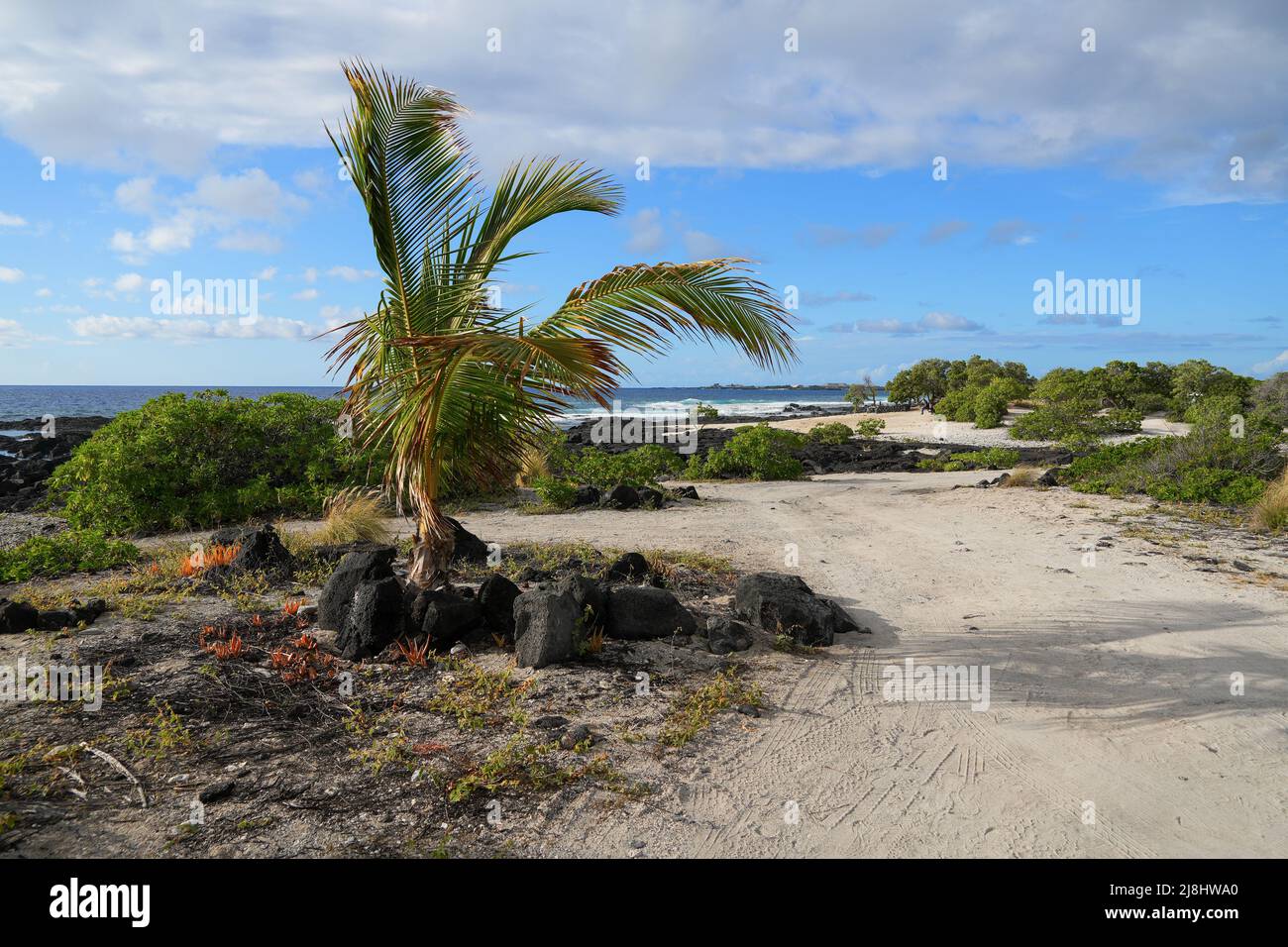 Solidified lava on the sandy O'oma Beach near Kailua-Kona in the west ...