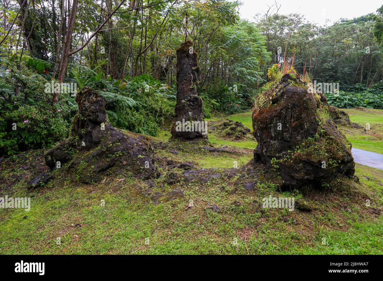 Lava Tree State Monument on the slopes of the Kilauea volcano in the ...