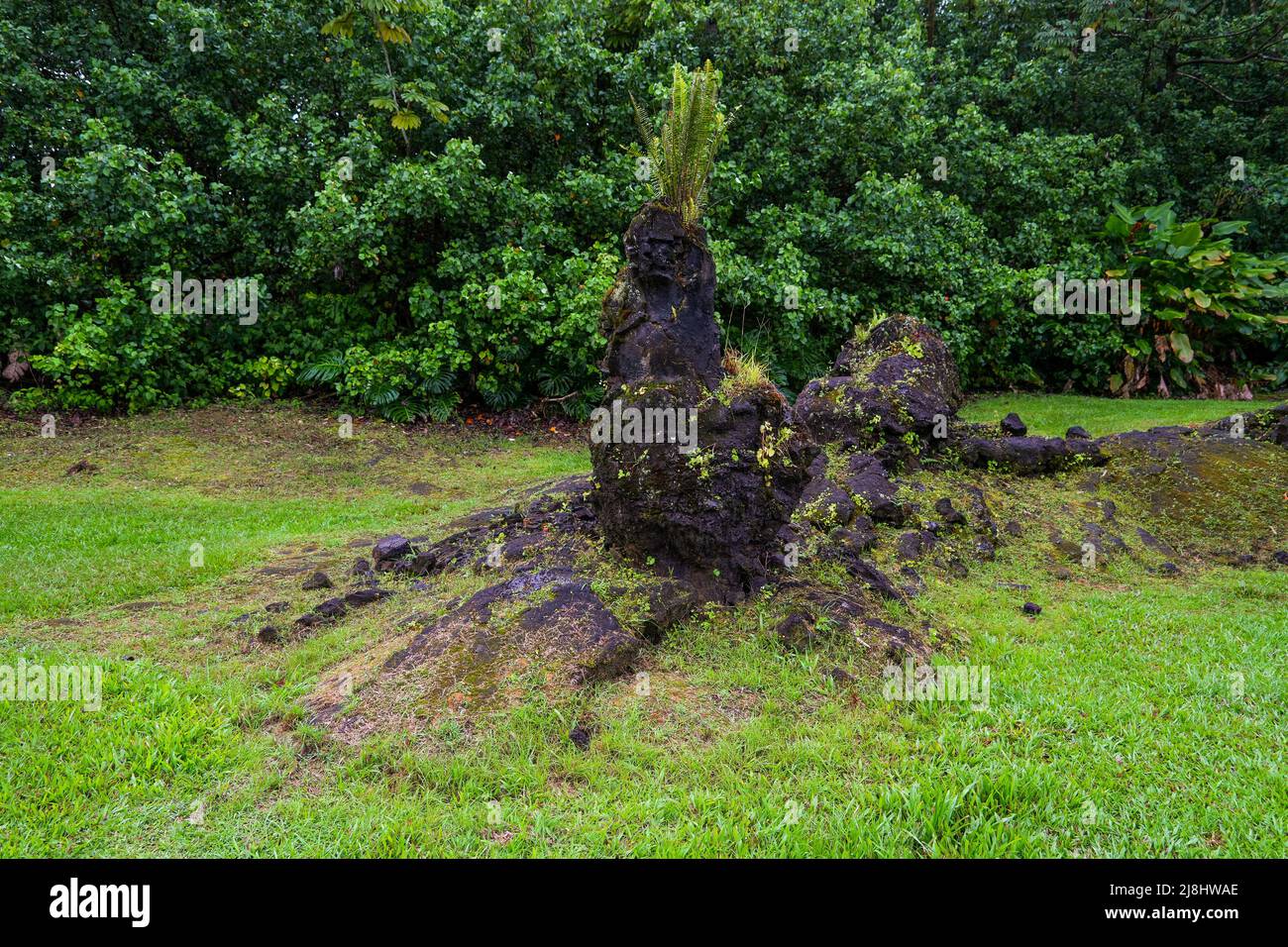 Lava Tree State Monument on the slopes of the Kilauea volcano in the ...