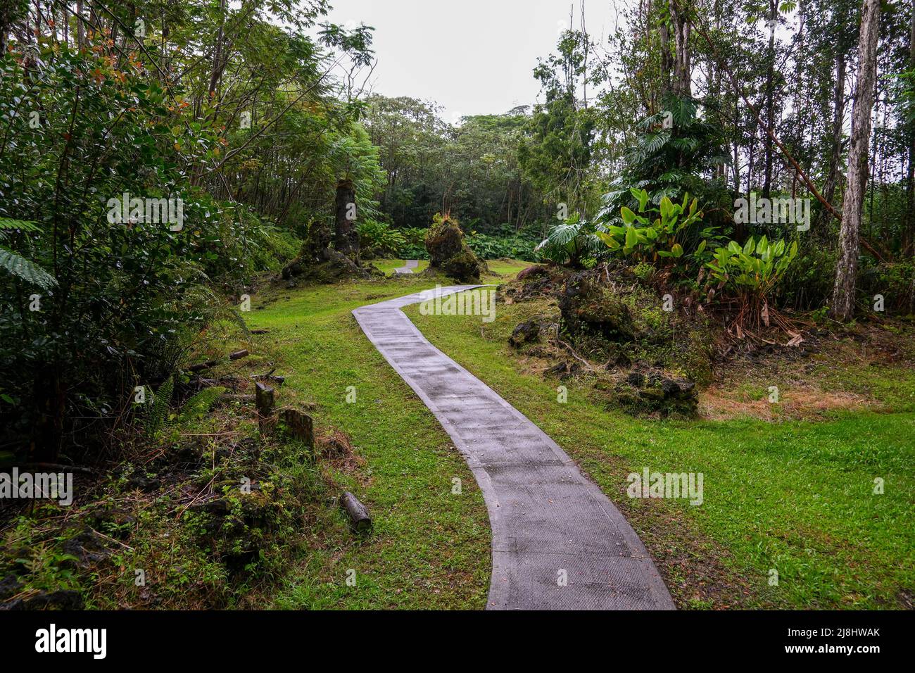 Lava Tree State Monument on the slopes of the Kilauea volcano in the ...