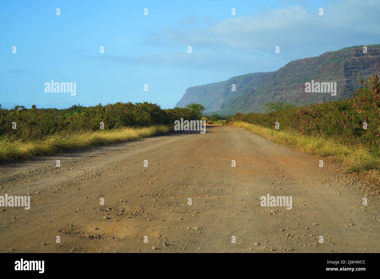 Dirt road in the wilderness of the west of Kauai island heading to the ...