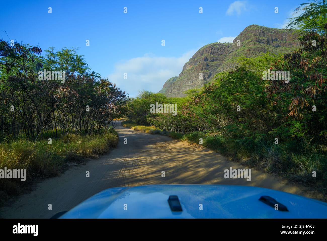 Dirt road in the wilderness of the west of Kauai island heading to the ...