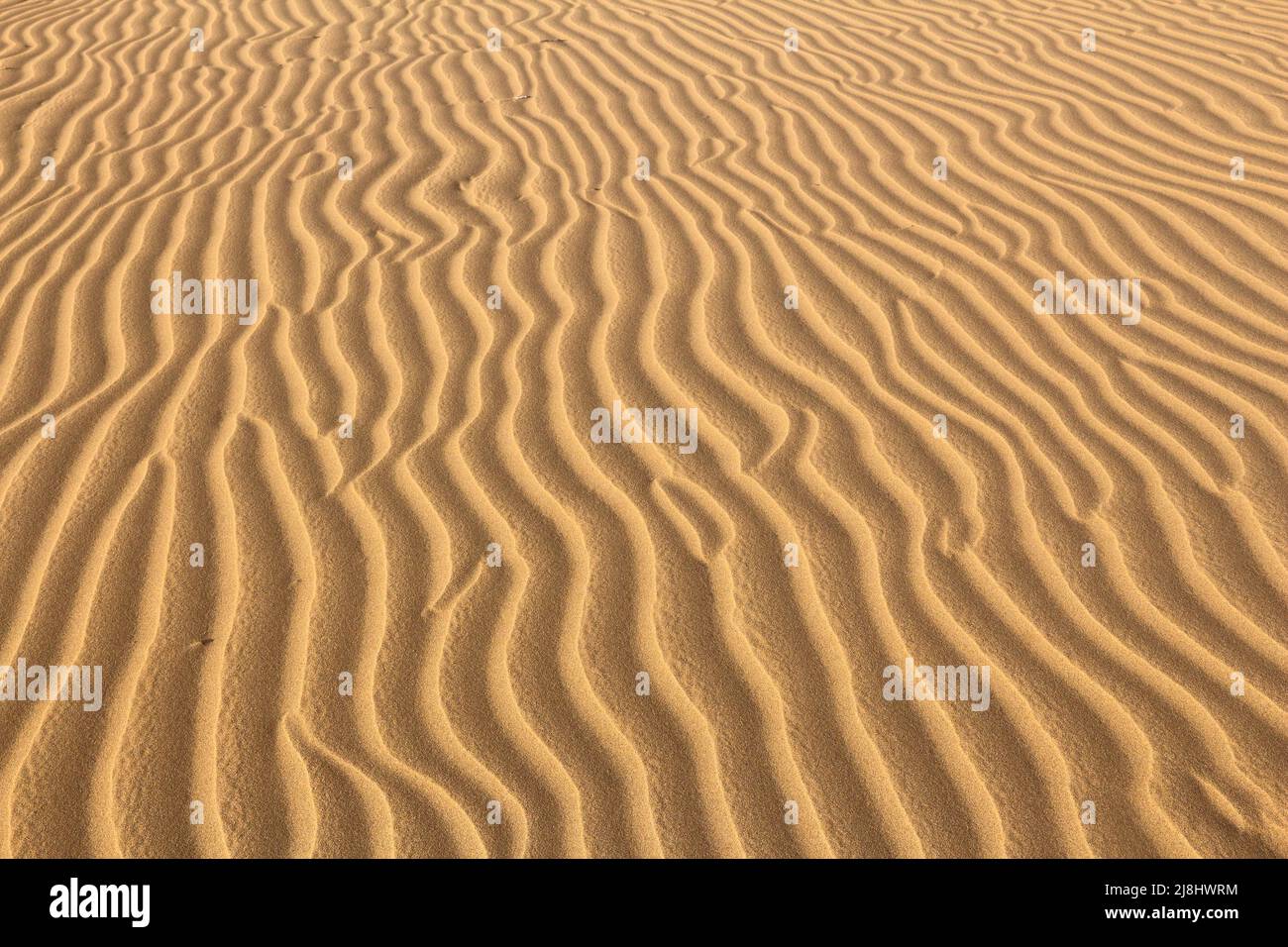 Sand desert ripples background. Wind ripples on yellow sand Stock Photo ...