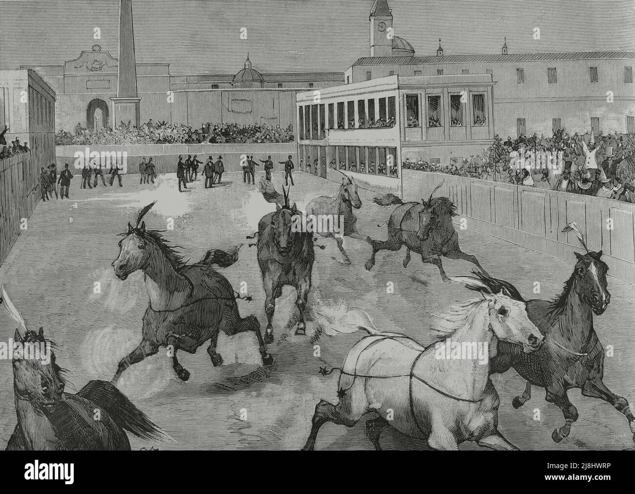 Race of the barberi horses hi-res stock photography and images - Alamy