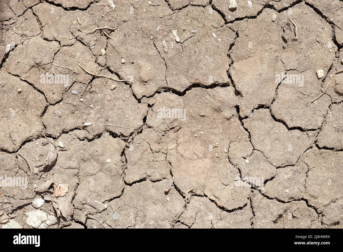 Drought land without water, dry ground effect Stock Photo - Alamy