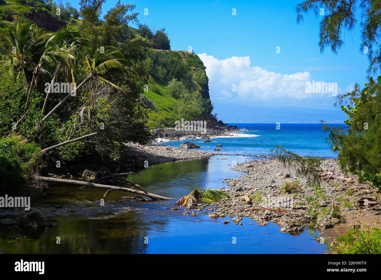 Fresh water creek flowing into Honokohau Bay between the Kahekili and ...