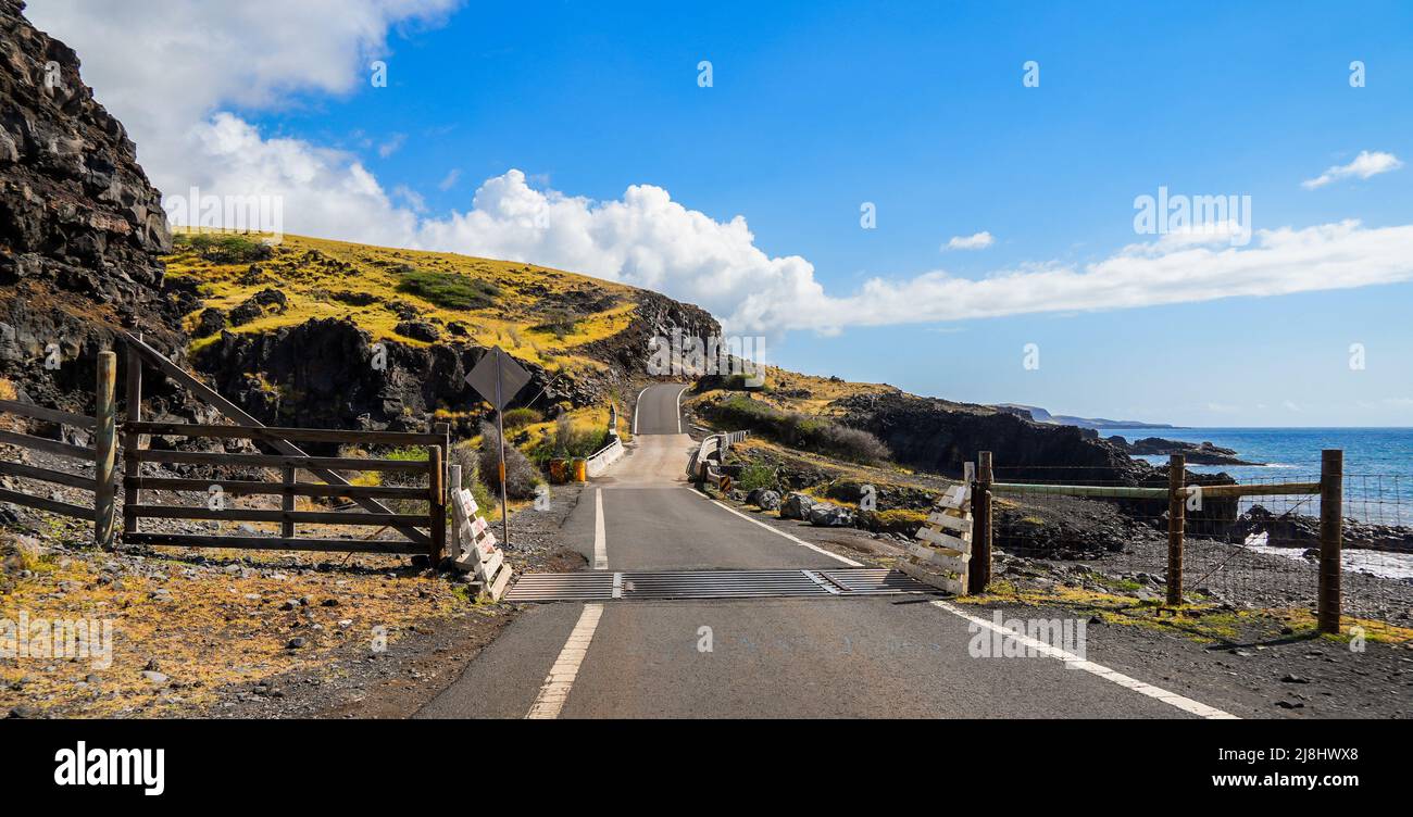 Cattle crossing on Piilani Highway in the southeast of Maui island ...