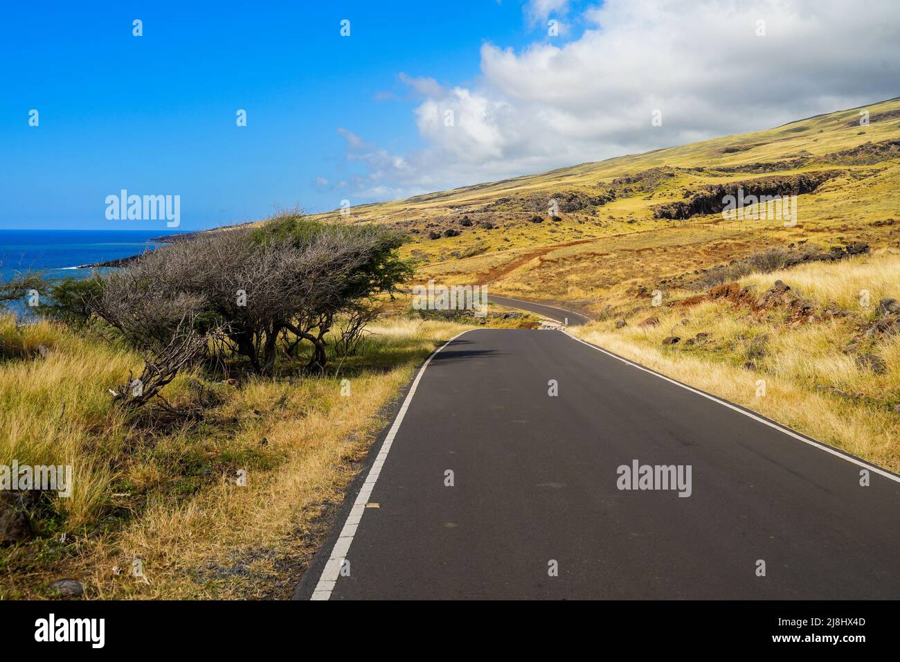 Kahale aimakani hi-res stock photography and images - Alamy