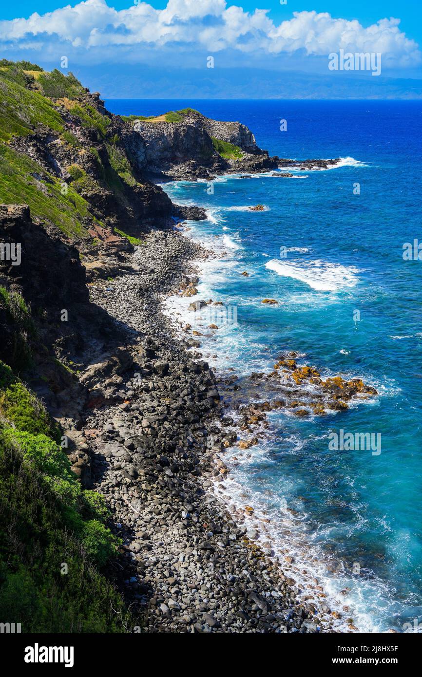 Lipoa hi-res stock photography and images - Alamy