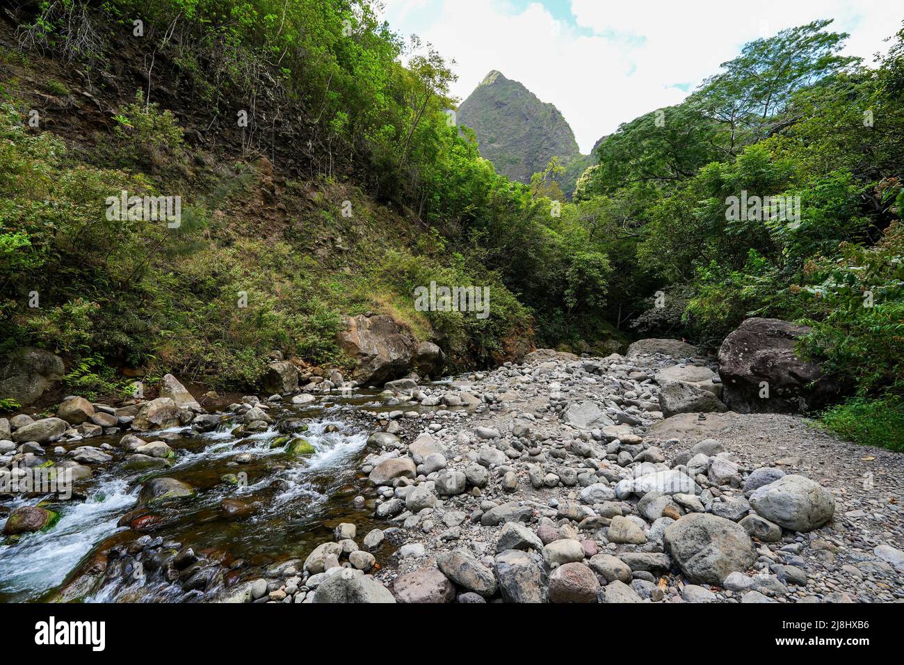 Iao stream in the rainforest of the Iao Valley in the west of Maui ...