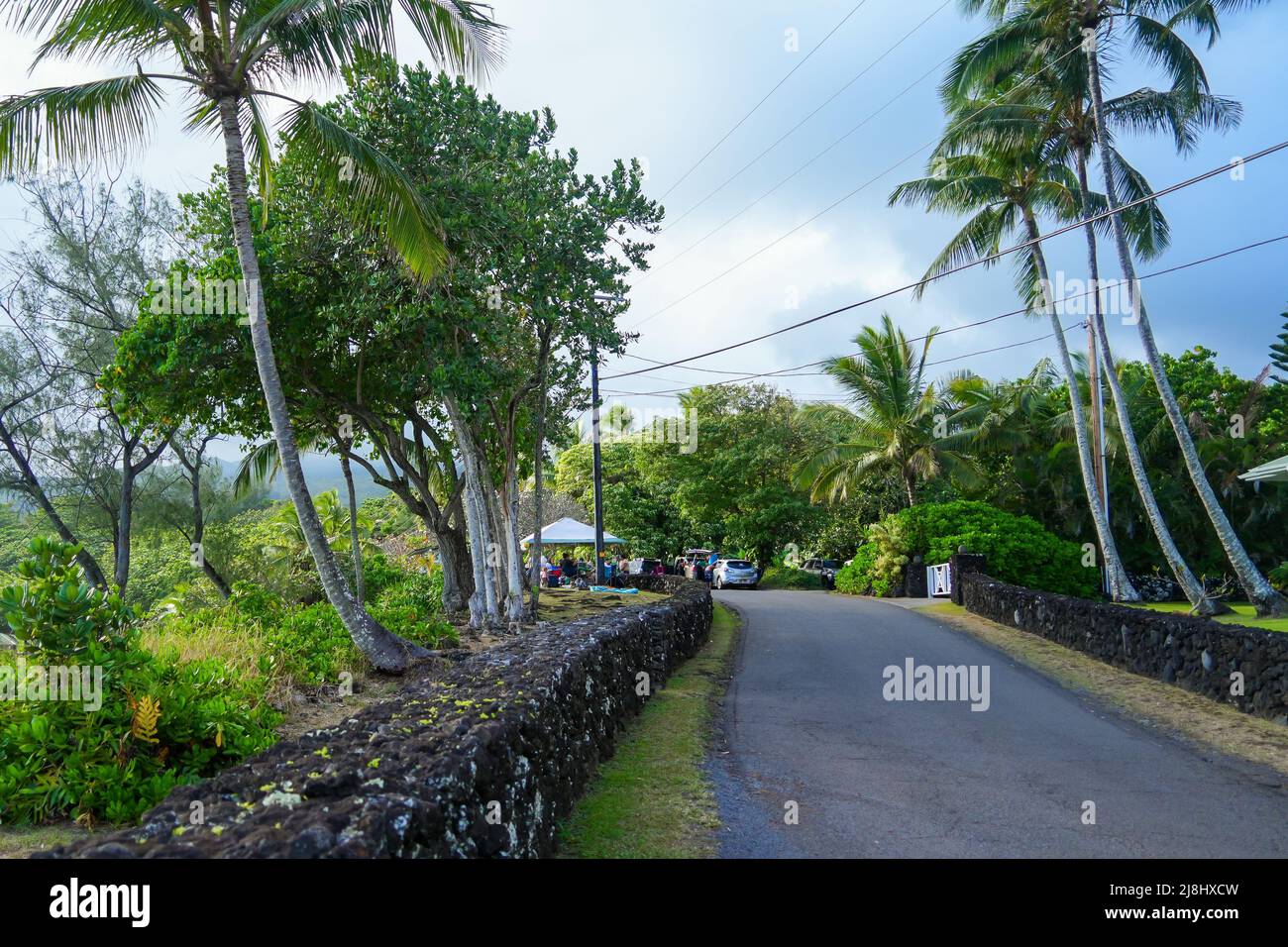 Paved road surrounded with palm trees and lava rock walls in Koki Beach ...