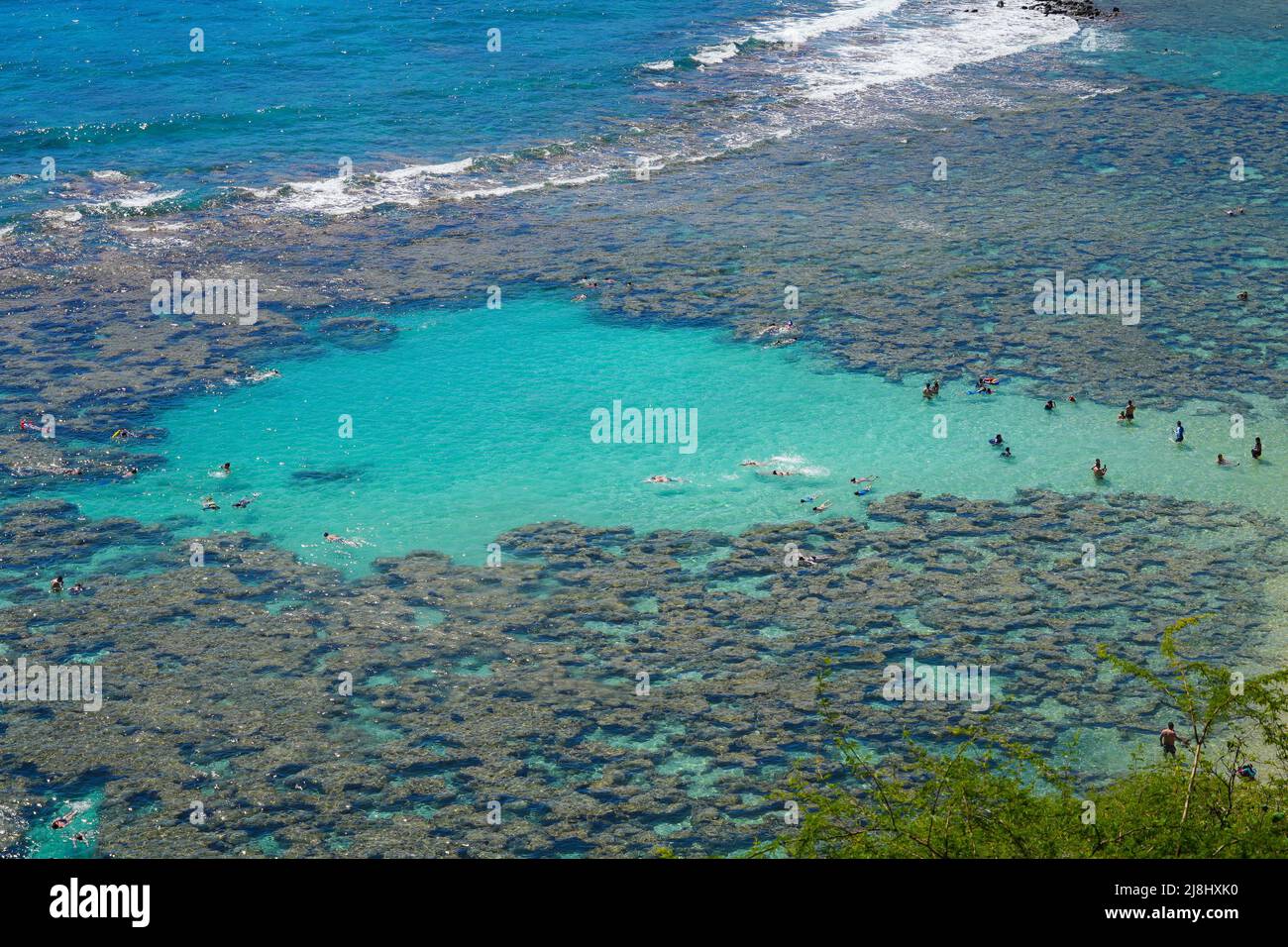 Aerial view of coral reef in the Hanauma Bay Nature Preserve on O'ahu ...