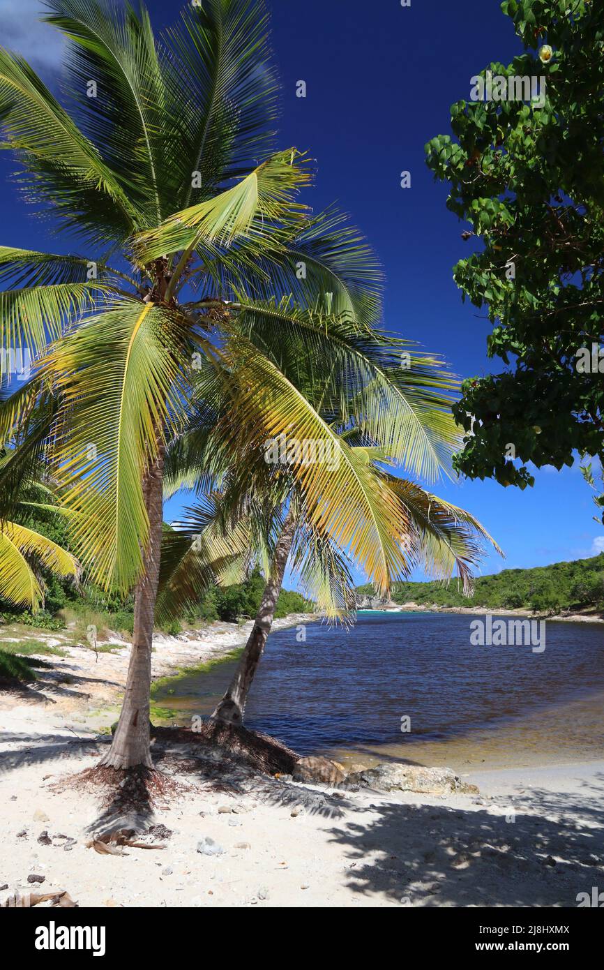 Hell’s gate island hi-res stock photography and images - Alamy