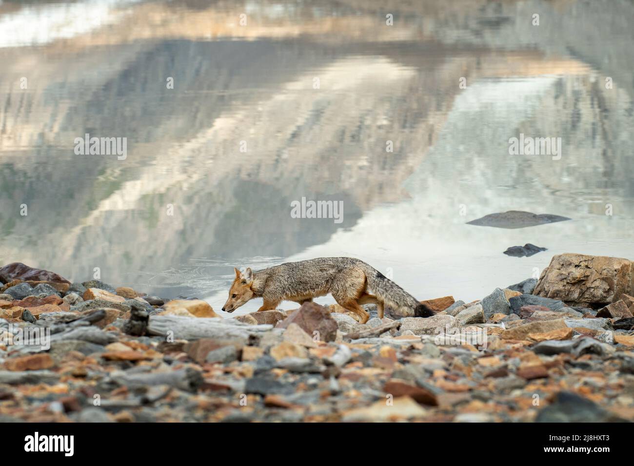 Fox lake hi-res stock photography and images - Alamy