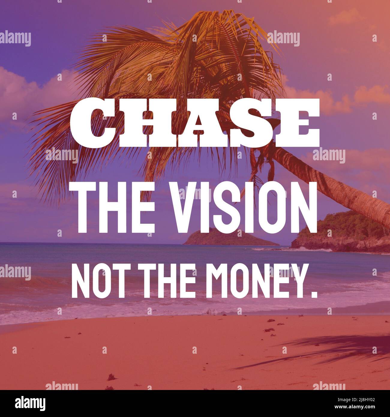 Chase the vision, not the money. Business motivational quote poster ...