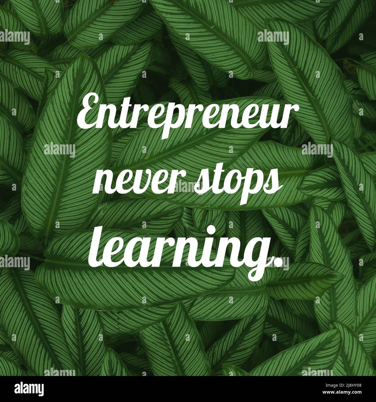 Entrepreneur never stops learning. Startup motivational text poster ...