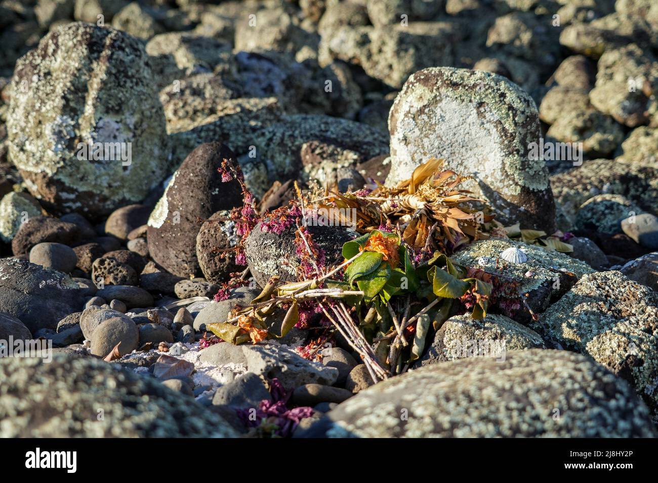 Hawaiian shrine hi-res stock photography and images - Alamy