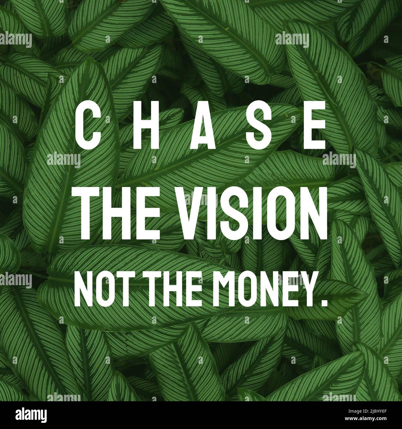 Chase the vision not the money. Business motivational text poster ...