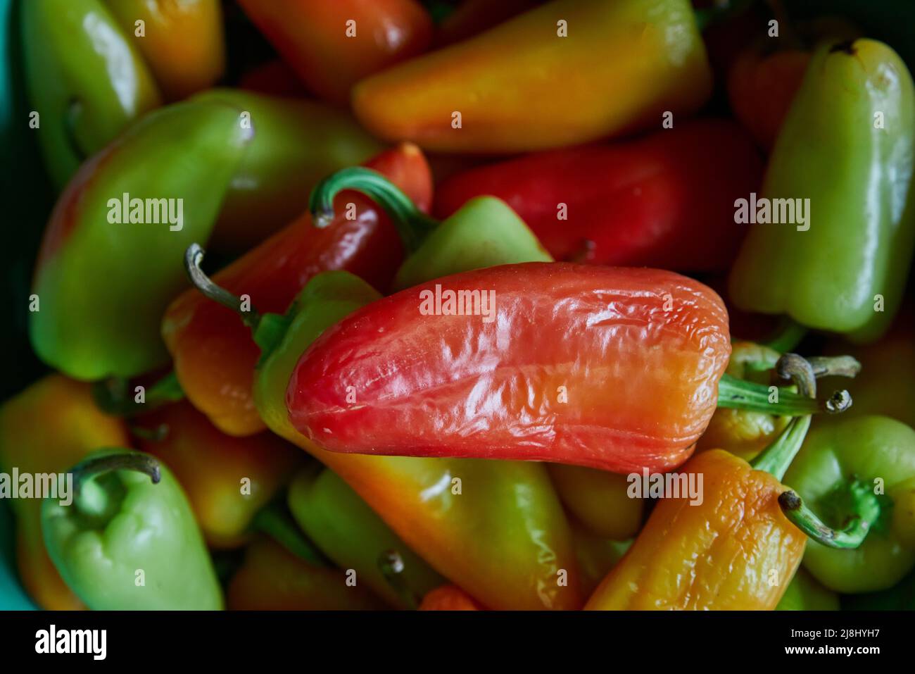 Put on a shelf hi-res stock photography and images - Alamy