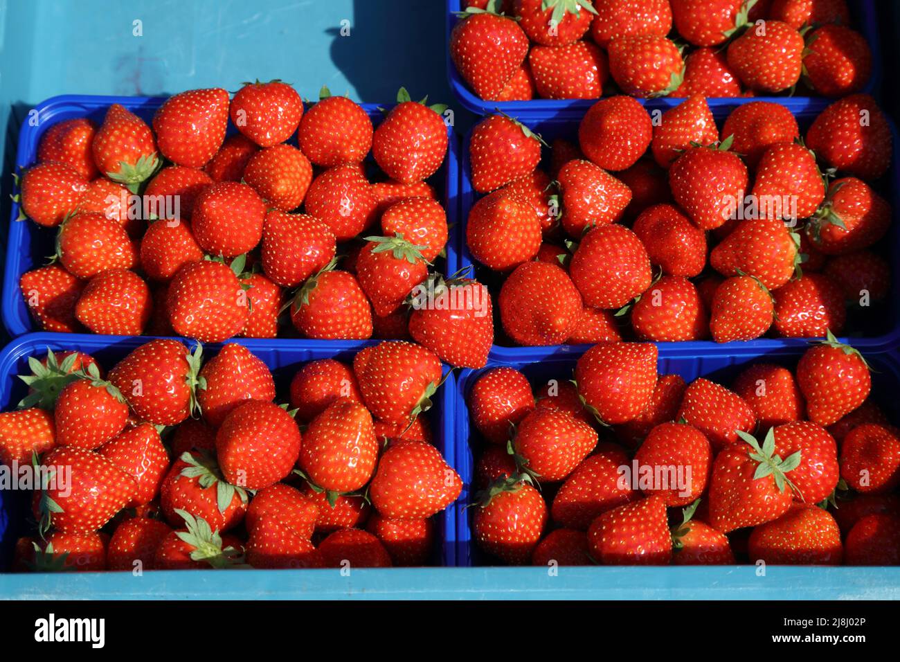 Strawberry background at a food market in Dortmund, Germany Stock Photo ...