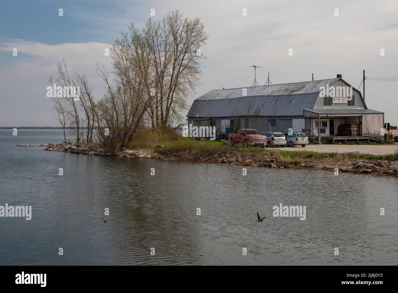 Commercial food fish hi-res stock photography and images - Alamy