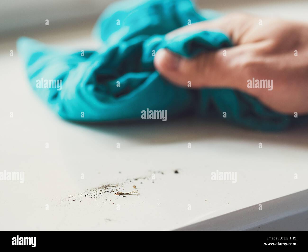 Male hand without gloves rubs dust from the windowsill. Mopping with a ...