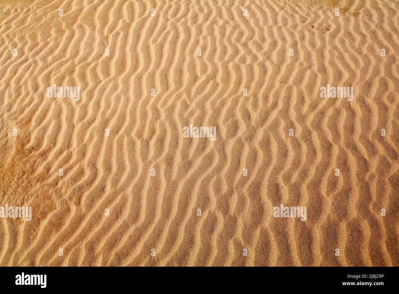 Sand pattern texture in Morocco. Desert sand ripples background Stock ...