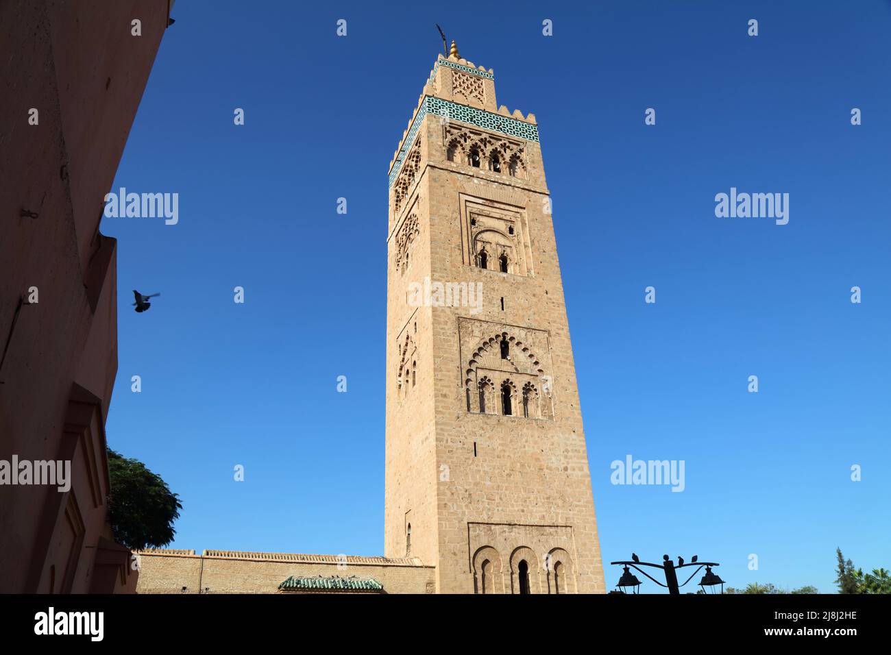 City sightseeing marrakech hi-res stock photography and images - Alamy