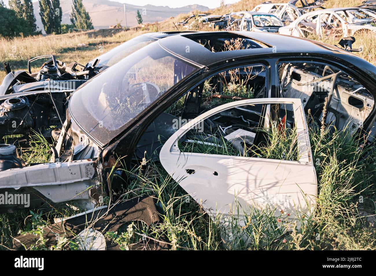 Car dump, scrap metal. Close-up of an old abandoned cars in a junkyard ...
