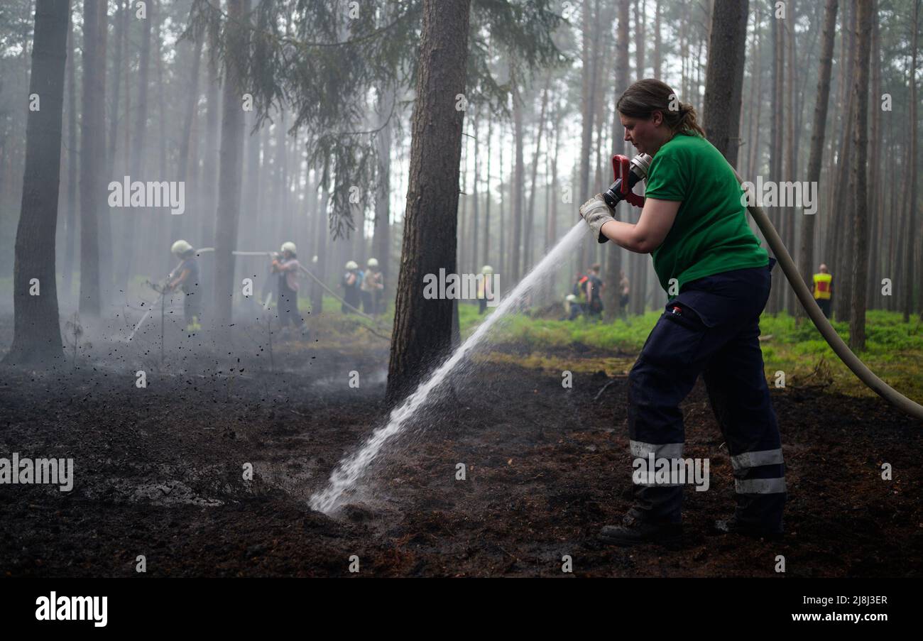 Deutsch Evern, Germany. 16th May, 2022. Firefighters work on a forest ...