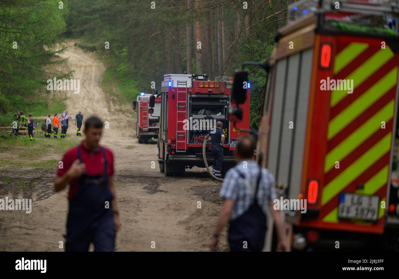 Deutsch Evern, Germany. 16th May, 2022. Firefighters work on a forest ...