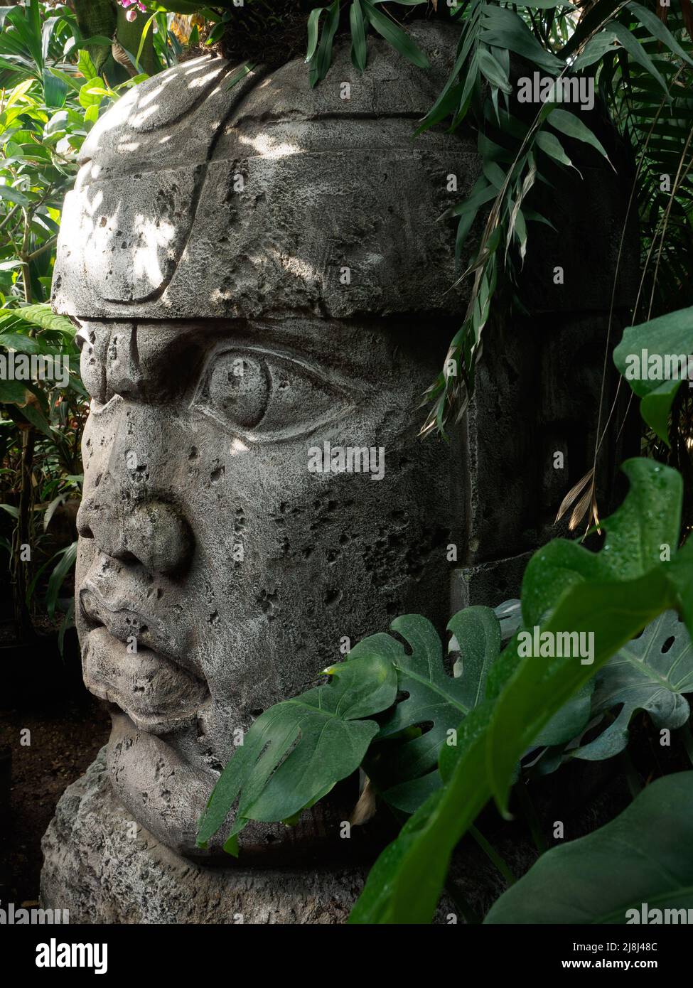 Olmec sculpture carved from stone. Mayan symbol - Big stone head statue ...