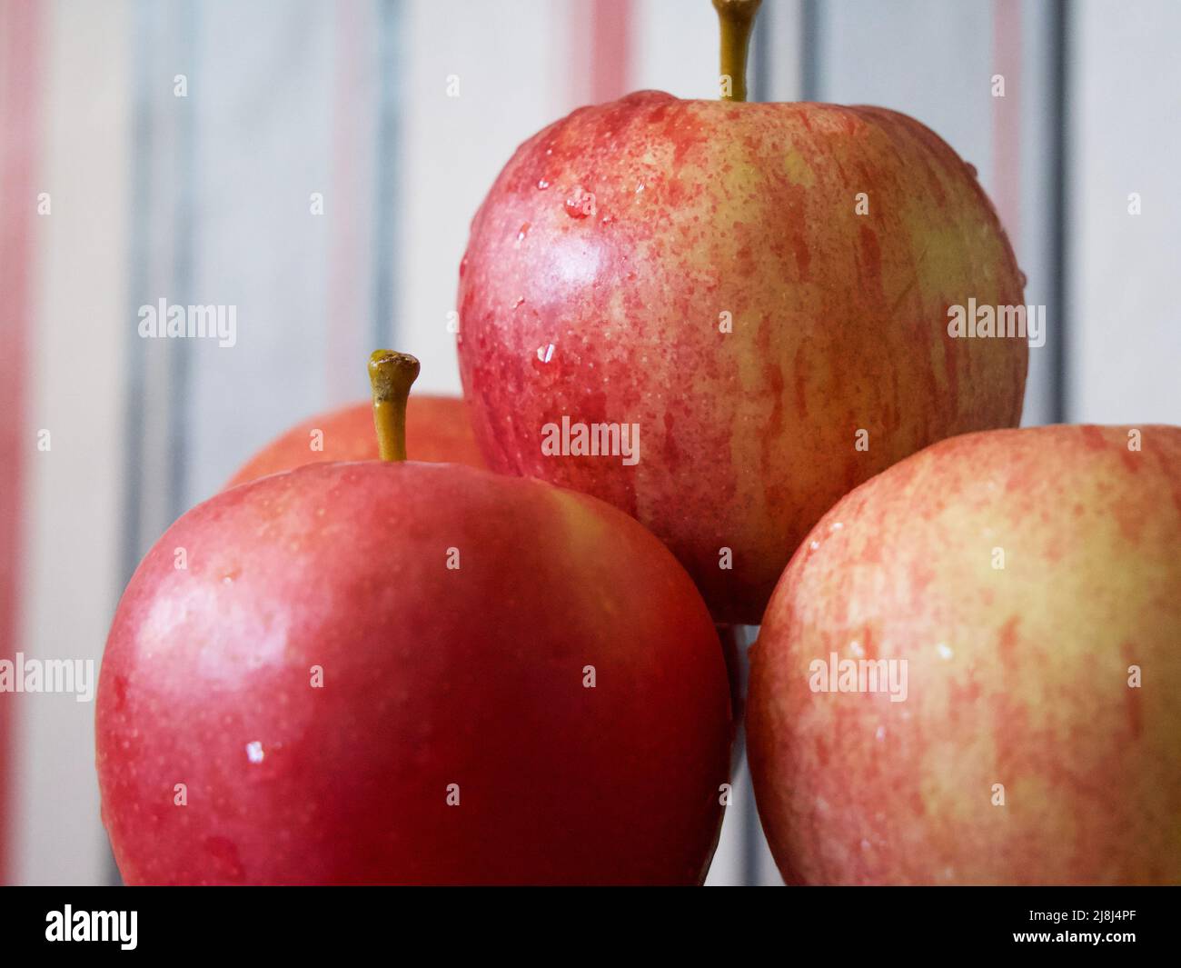 A few ripe striped apples, a close-up shot. Apples of the gala and ...