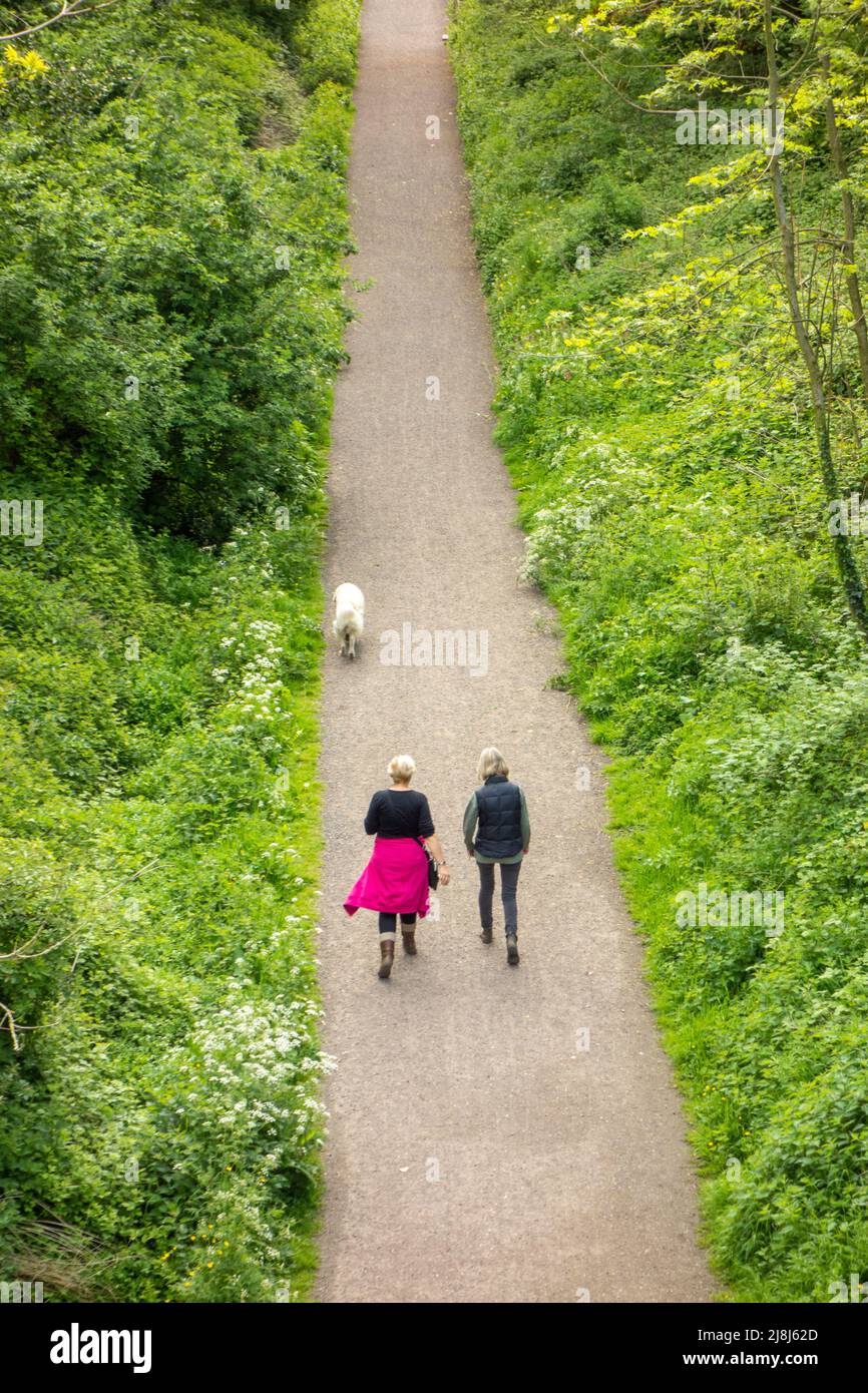 People dog walking on the former Sandbach to Stoke railway line lost in ...
