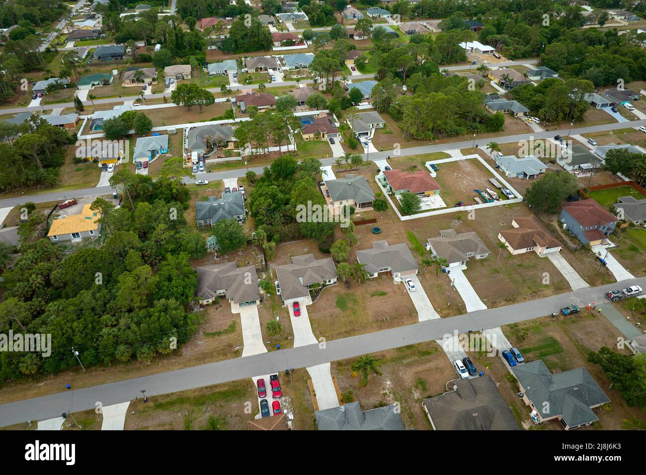 Aerial landscape view of suburban private houses between green palm ...