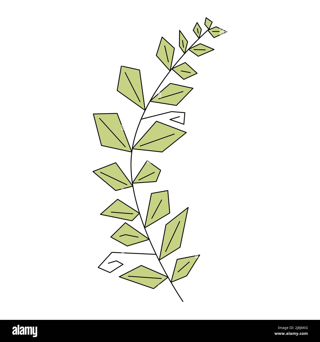 Stylized rhombus leaves, polygonal leaf, linear geometric branch of ...