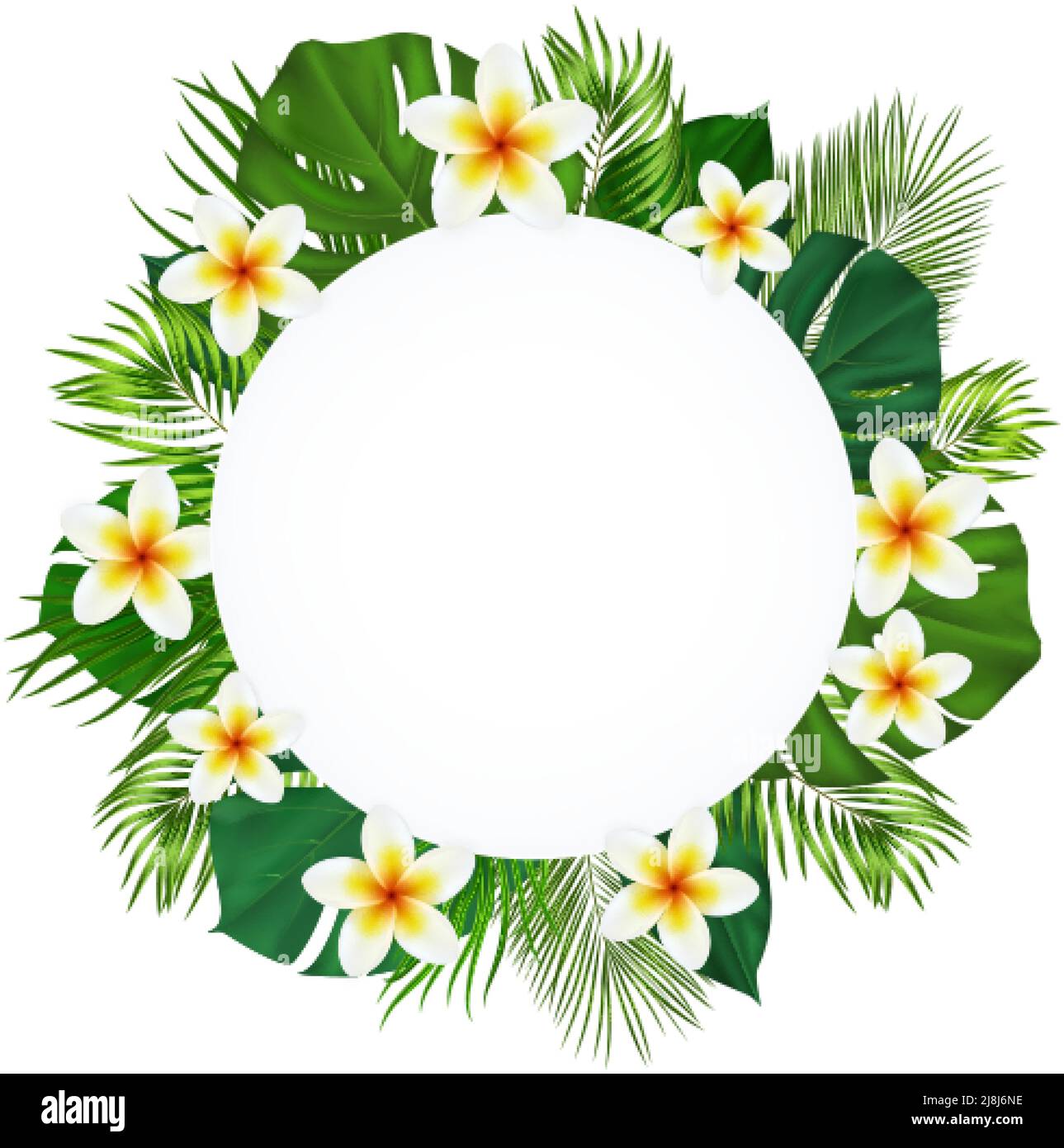 Indonesia green jungle Cut Out Stock Images & Pictures - Alamy