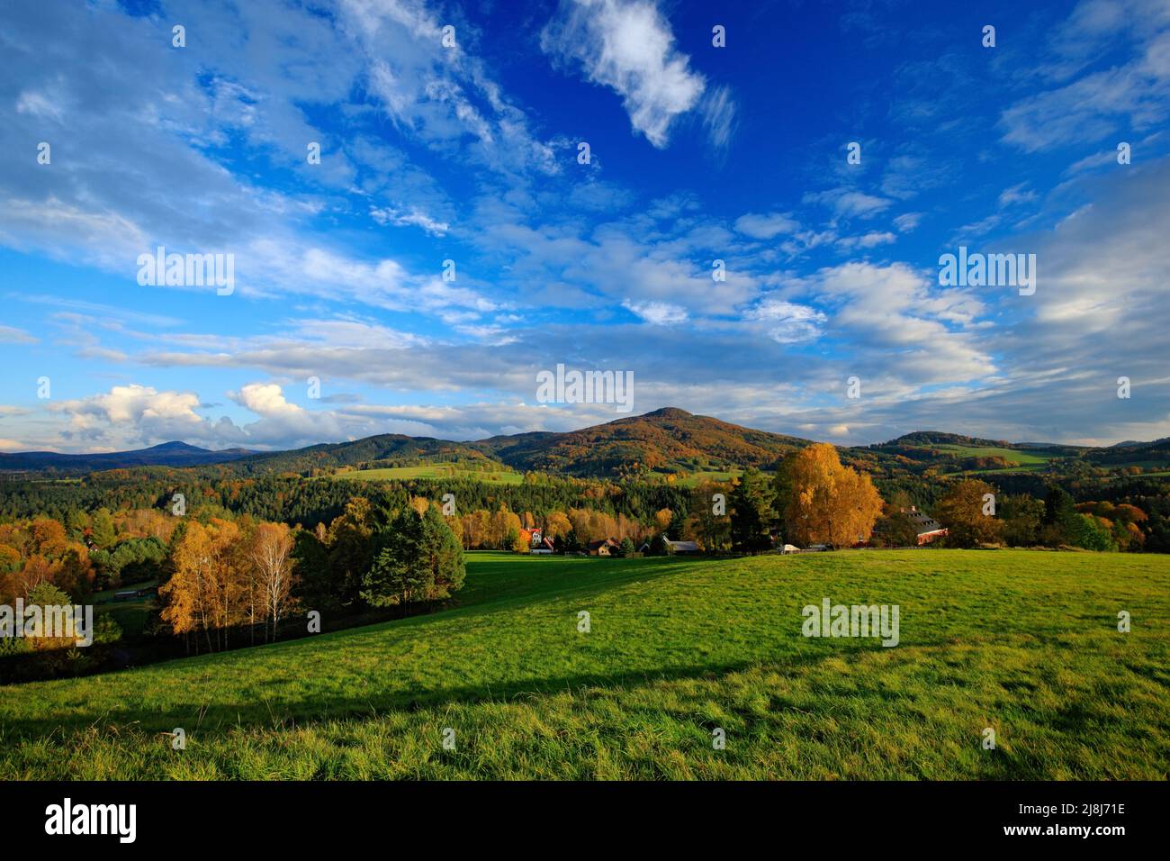Orange leaves trees with dark blue sky with white clods. Morning view ...