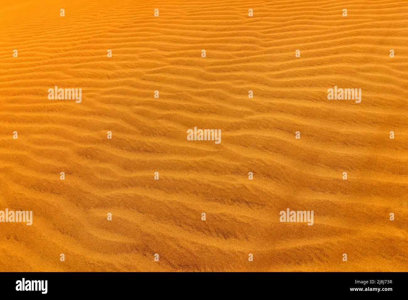 Detail of sand dune in desert. Summer dry landscape in Africa. Sand ...