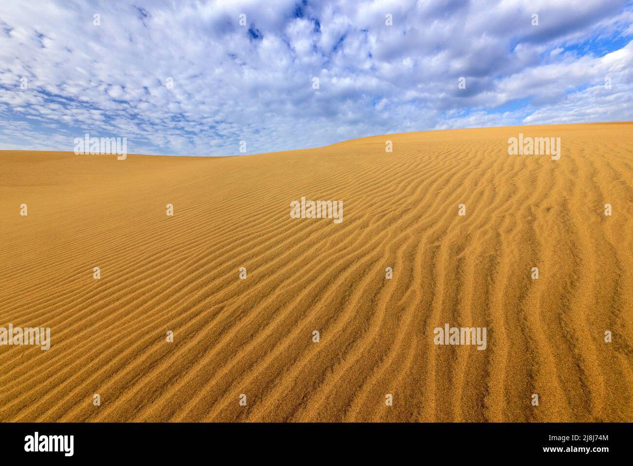 Sand desert with beautiful rare blue sky with white clouds. Summer dry ...