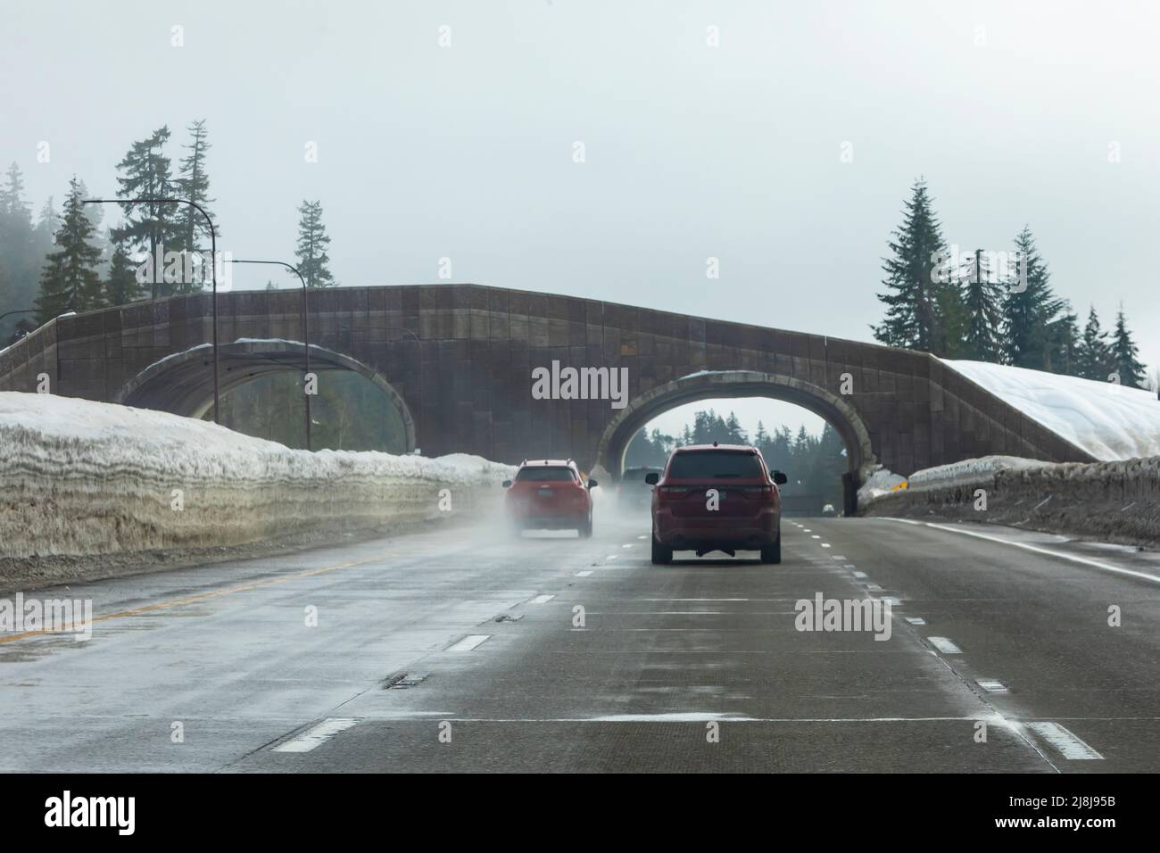 Wildlife overpass design hi-res stock photography and images - Alamy