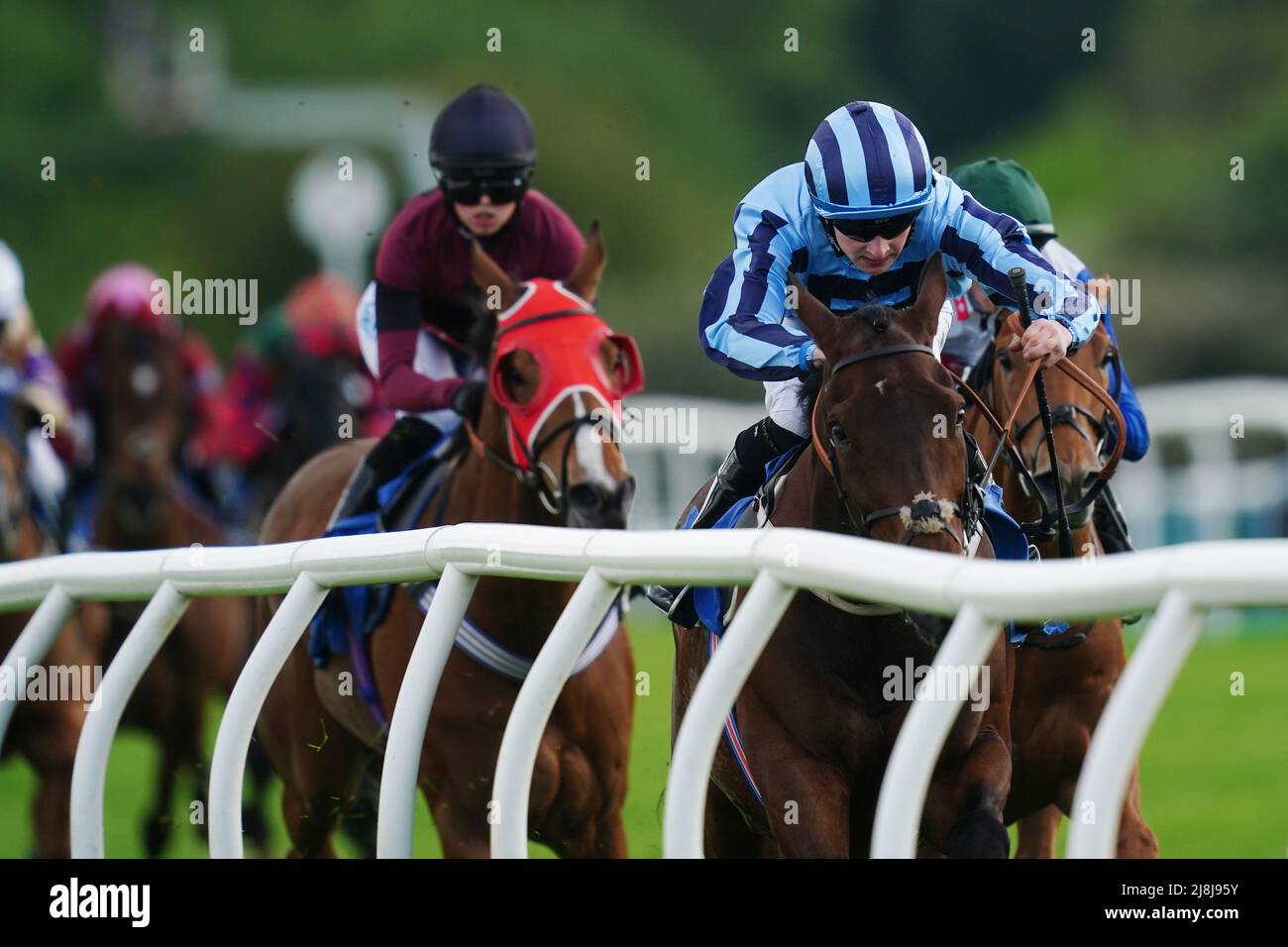 Ryan sexton hi-res stock photography and images - Alamy