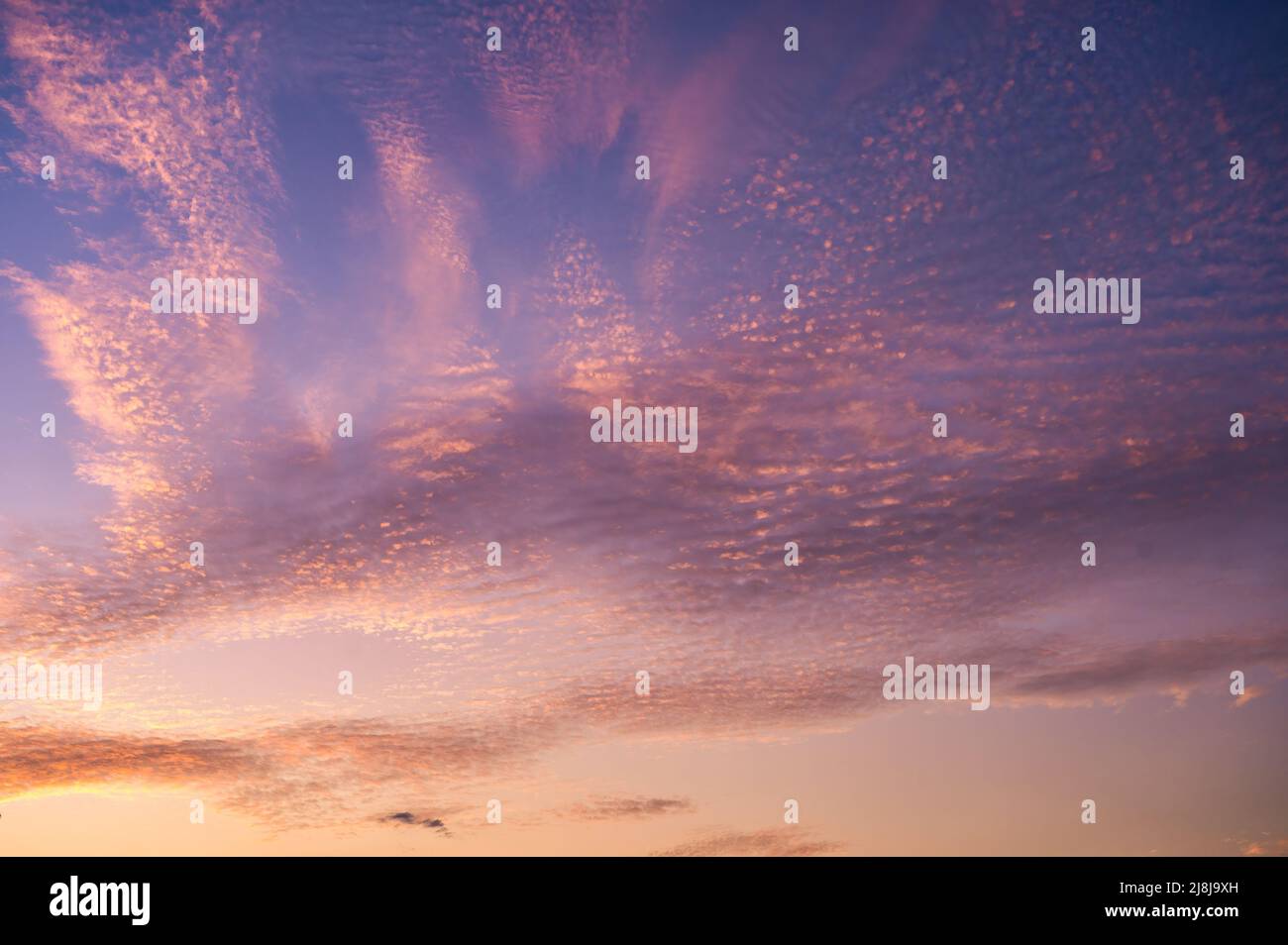 Beautiful dramatic sky with cirrocumulus clouds in the sunset Stock ...