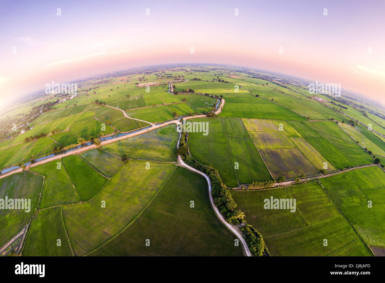 Aerial view of Green rice paddy field, farming cultivation in ...